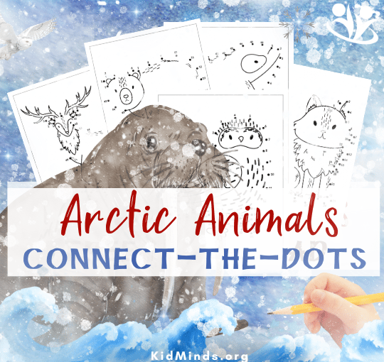 The Best Free Arctic Animals Connect-the-Dots | KidMinds