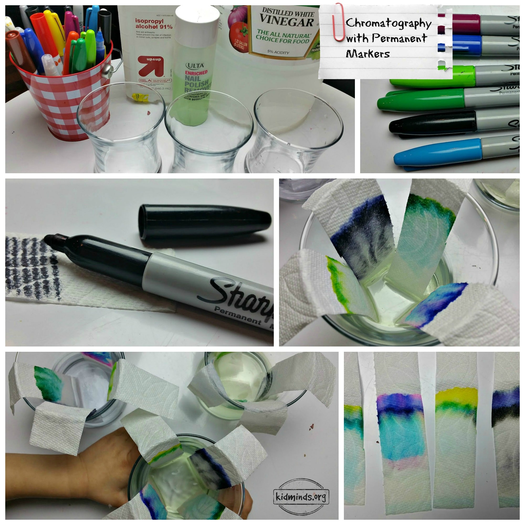 The Best Chromatography Experiments for Kids | KidMinds