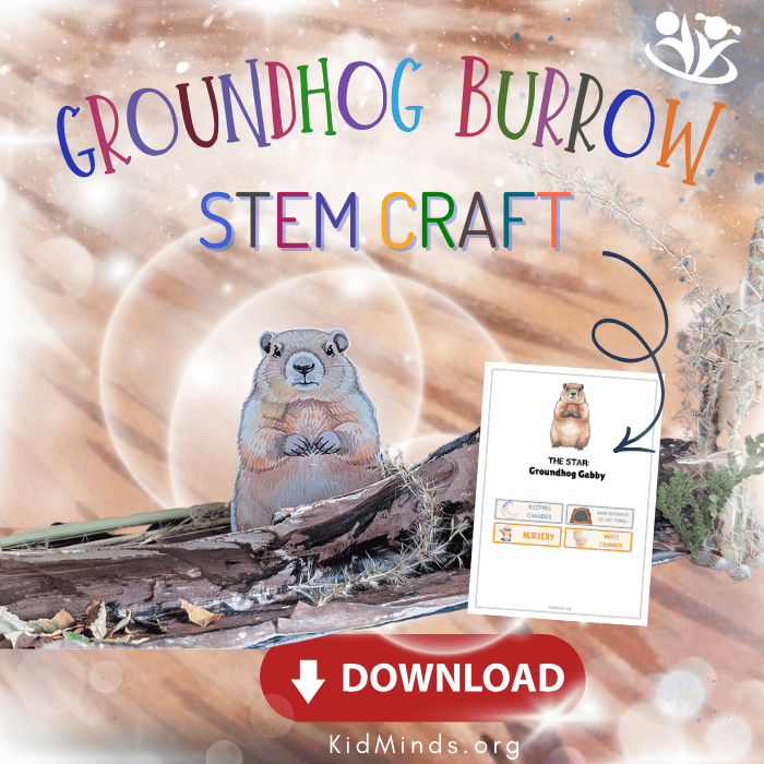 The Best 3D Shoebox Groundhog Burrow (Free PDF) | KidMinds