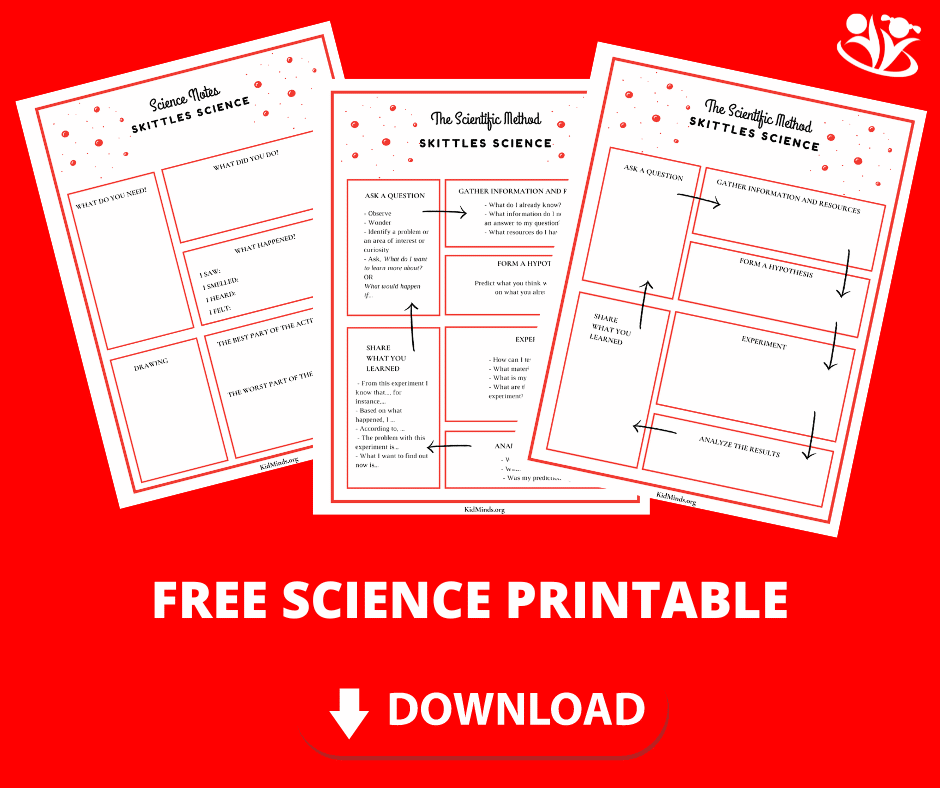 How to Make Skittles Science Experiment (Free PDF) | KidMinds