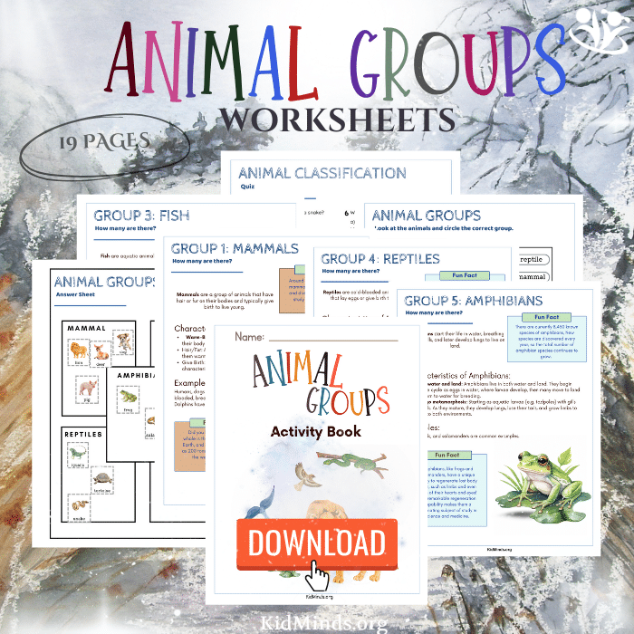 The Best Animal Groups Printables (Free PDF) | KidMinds