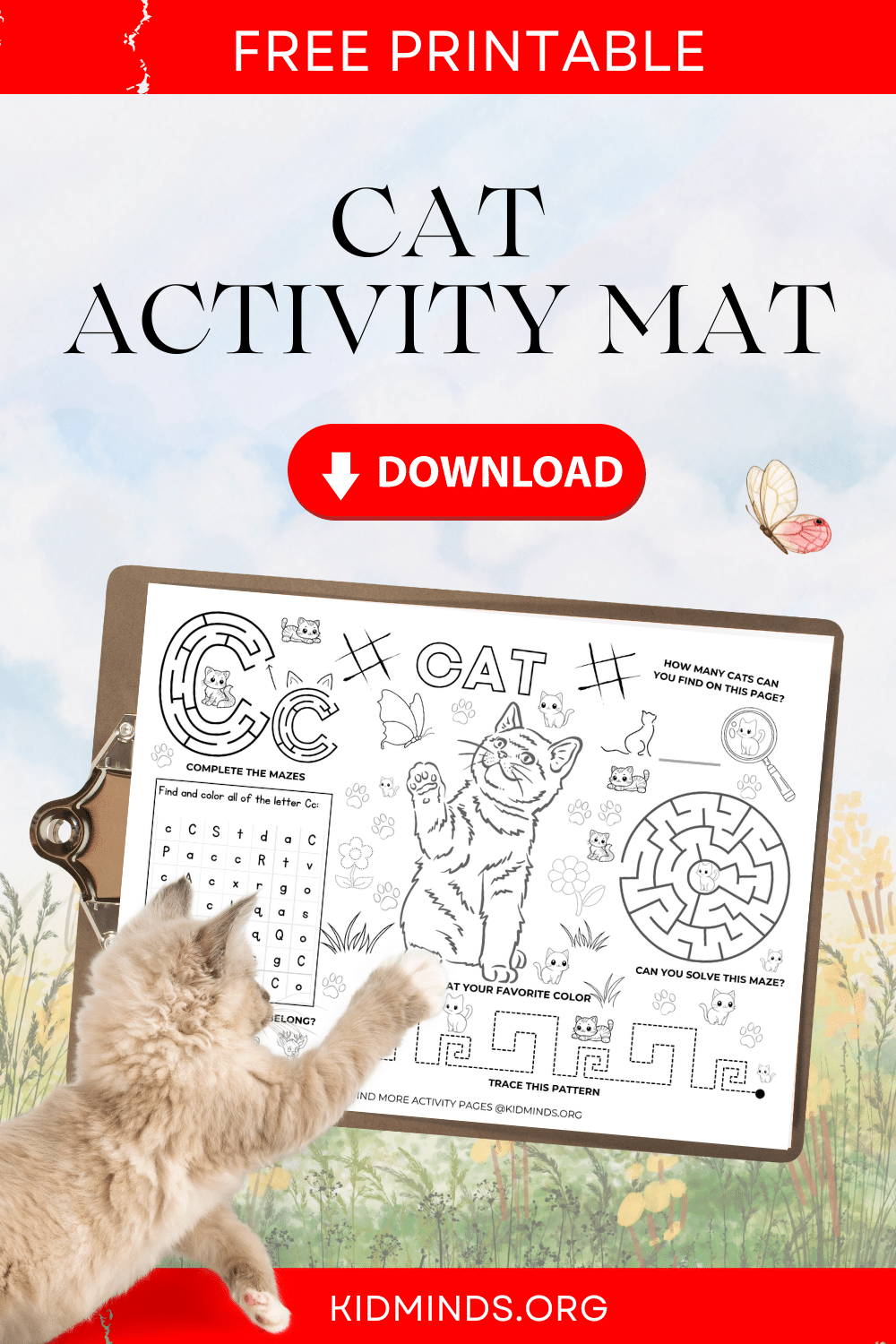 The Best & Most Fun Cat Activity Page (Free Printable) | KidMinds