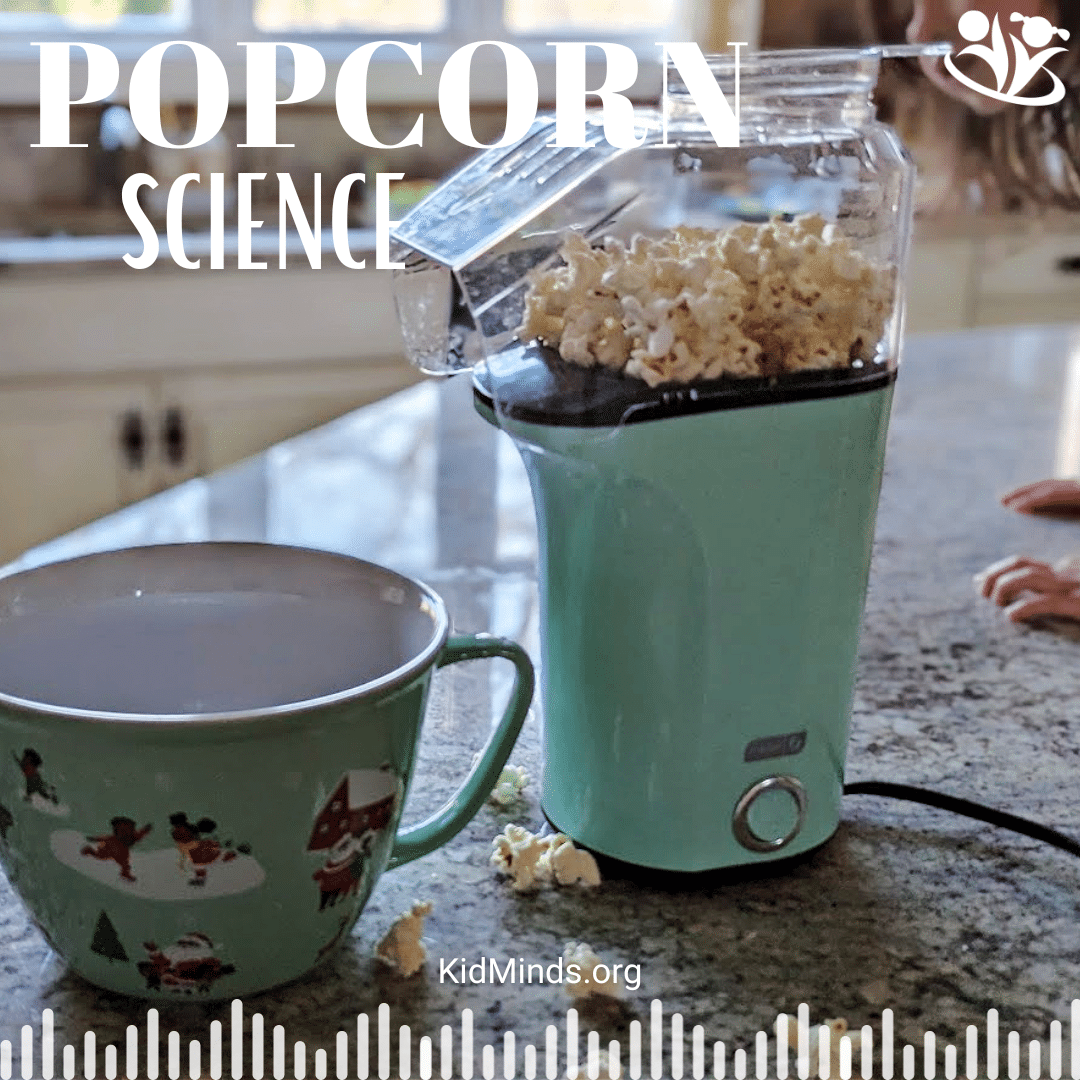 The Best and Most Exciting Thanksgiving Science | KidMinds