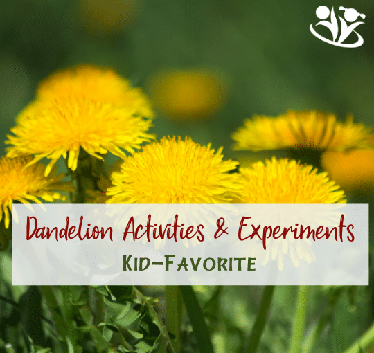 The Best Flower Science Experiment (Free PDF) | KidMinds