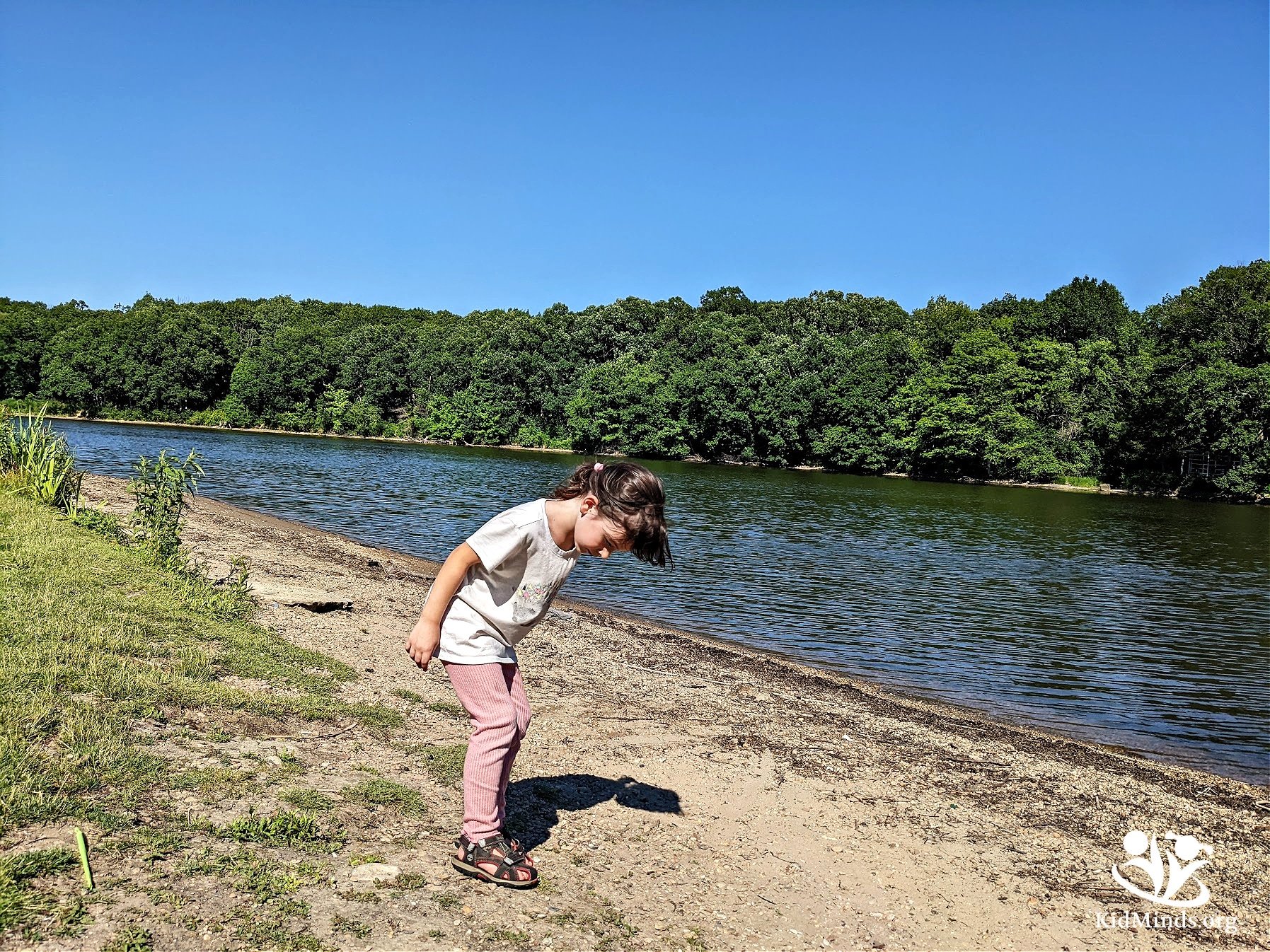 How to Make Pebble Puppets With Your Kids | KidMinds