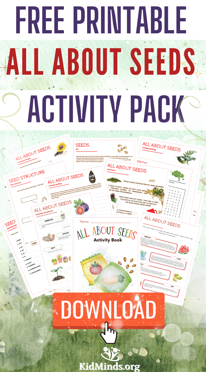 The Best All About Seeds Activity Pack (Free PDF) | KidMinds
