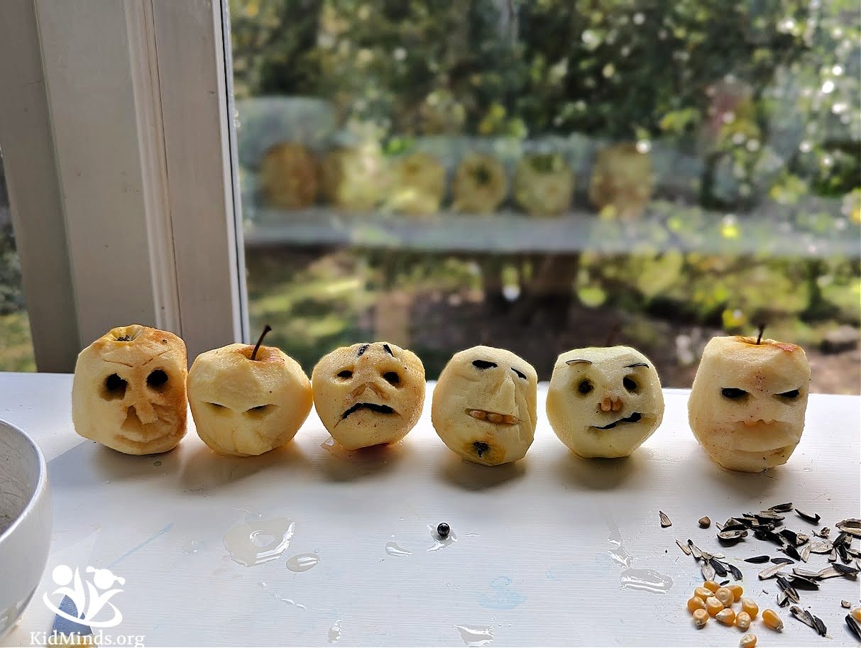How to Make Shrunken Apple Heads | KidMinds