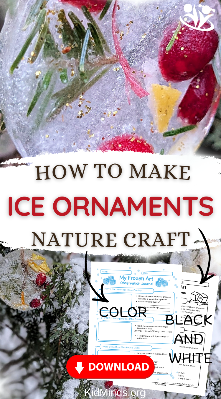 How to Make DIY Nature Ice Ornaments (Free PDF) | KidMinds