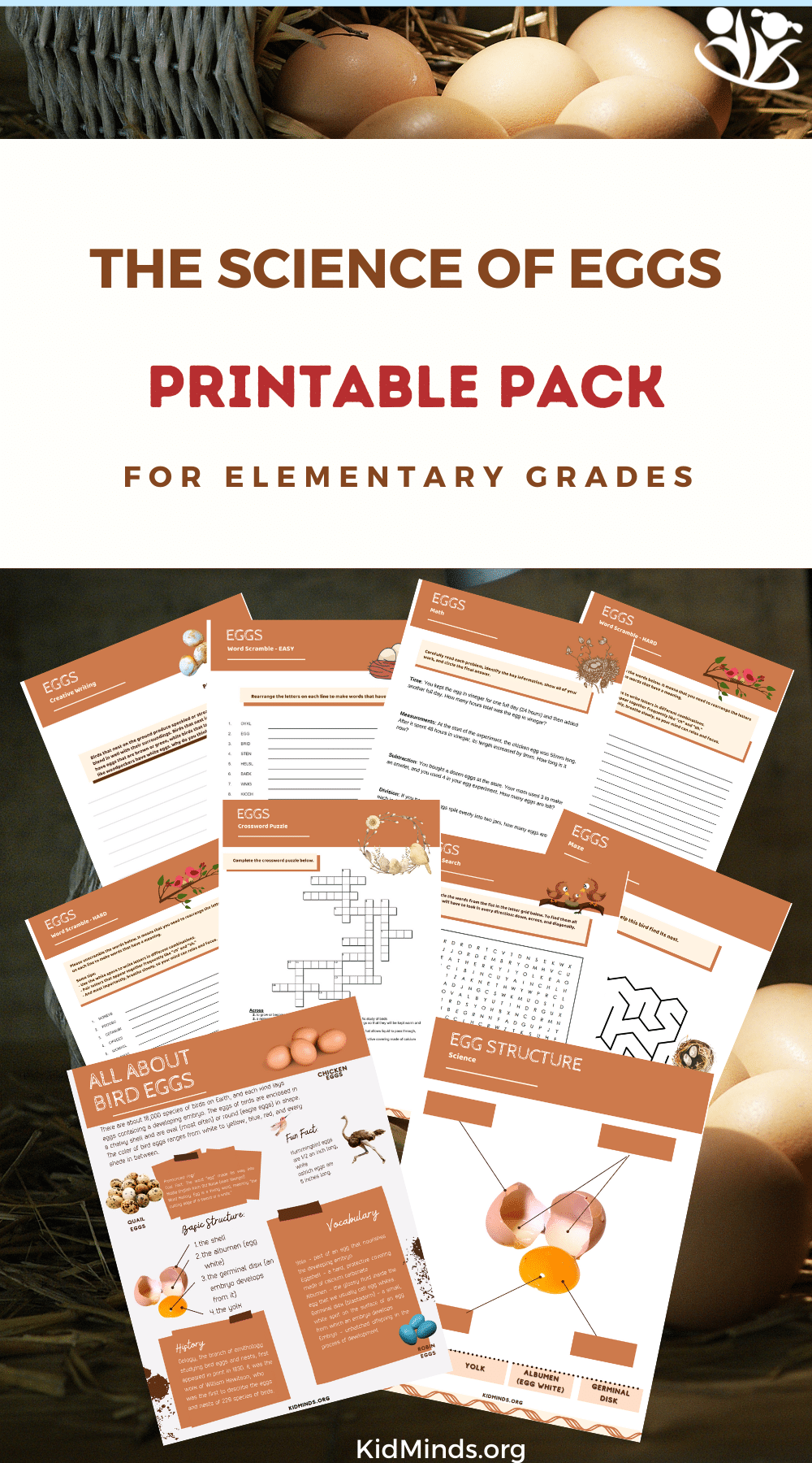 The Best Egg Science (With Lots of Free Printables) | KidMinds