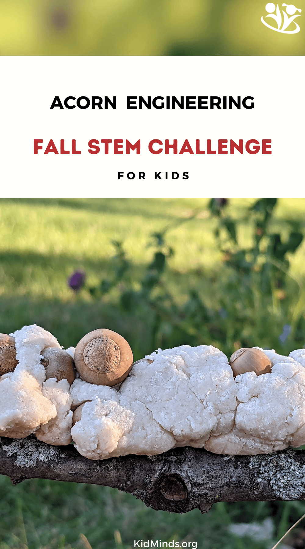 The Best Acorn Engineering Challenge | KidMinds