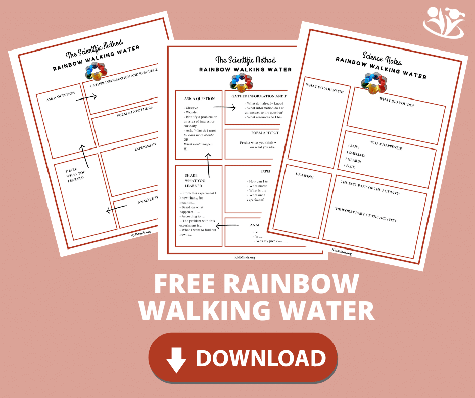 How to Make Rainbow Walking Water With Kids | KidMinds