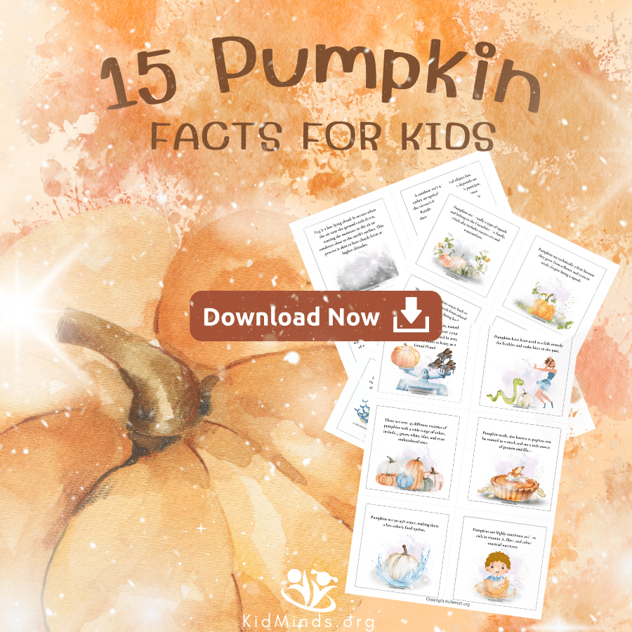 The Best Pumpkin Facts for Kids (Free Printable) | KidMinds