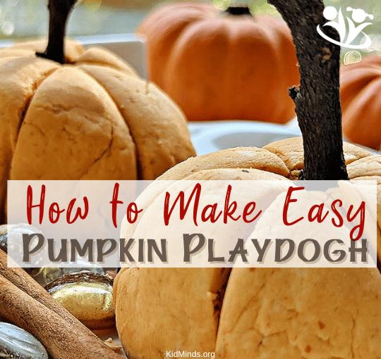 How to Make Pumpkin Playdough (2 Ingredients) | KidMinds
