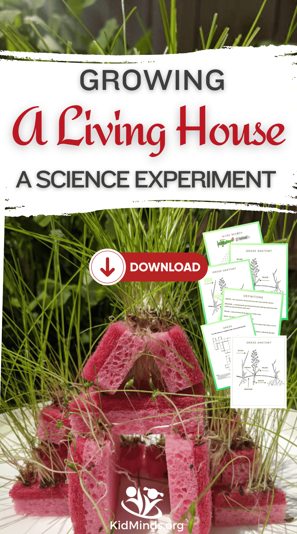 How to Grow the Best Grass House (Free PDF) | KidMinds