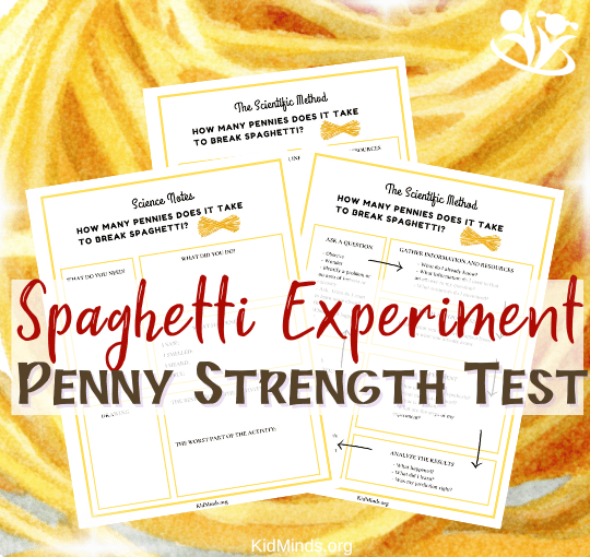 How Many Pennies to Break Spaghetti? Simple Science Experiment | KidMinds