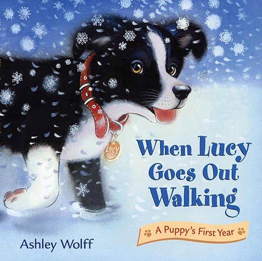 The Best Books About Seasons (Your Kids Will Love) | KidMinds