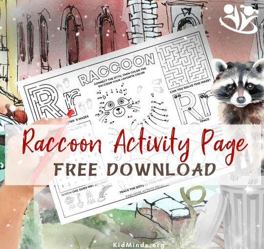 The Best Raccoon Activity Page (Free Printable) | KidMinds