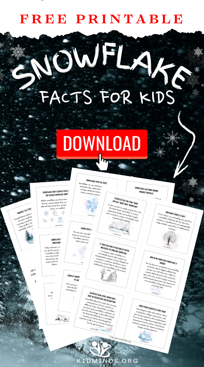 The Best Snowflake Facts for Kids (Free PDF) | KidMinds