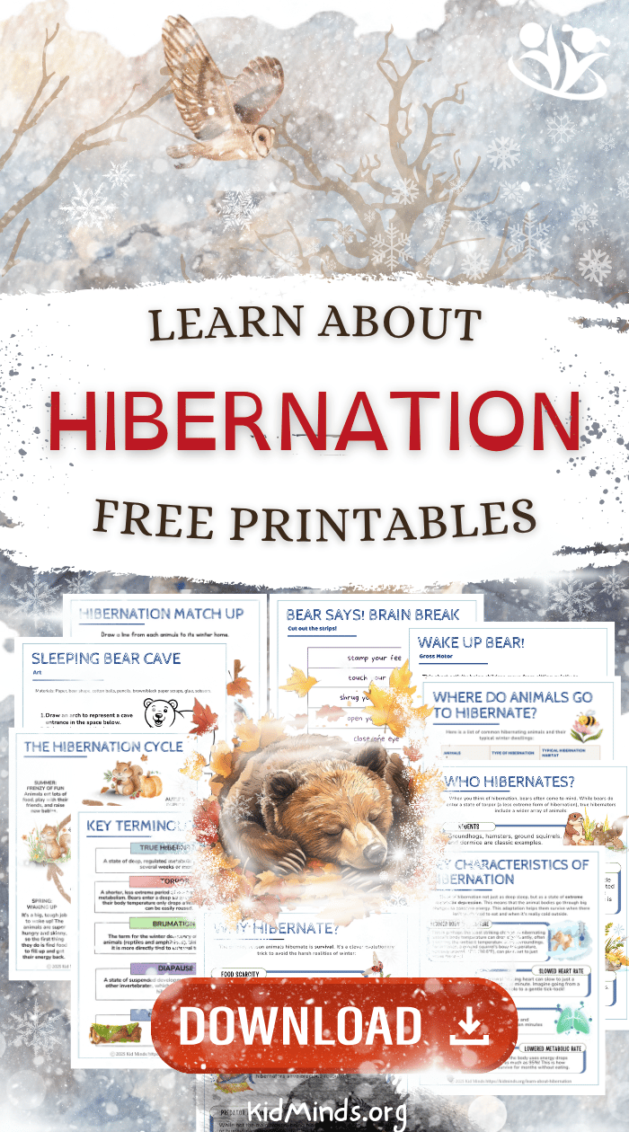 The Best Hibernation Activity Pack (Free PDF) | KidMinds