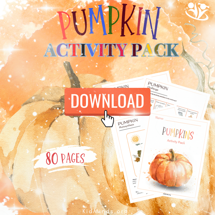 The Best Pumpkin Learning Pack (Free Printable) | KidMinds