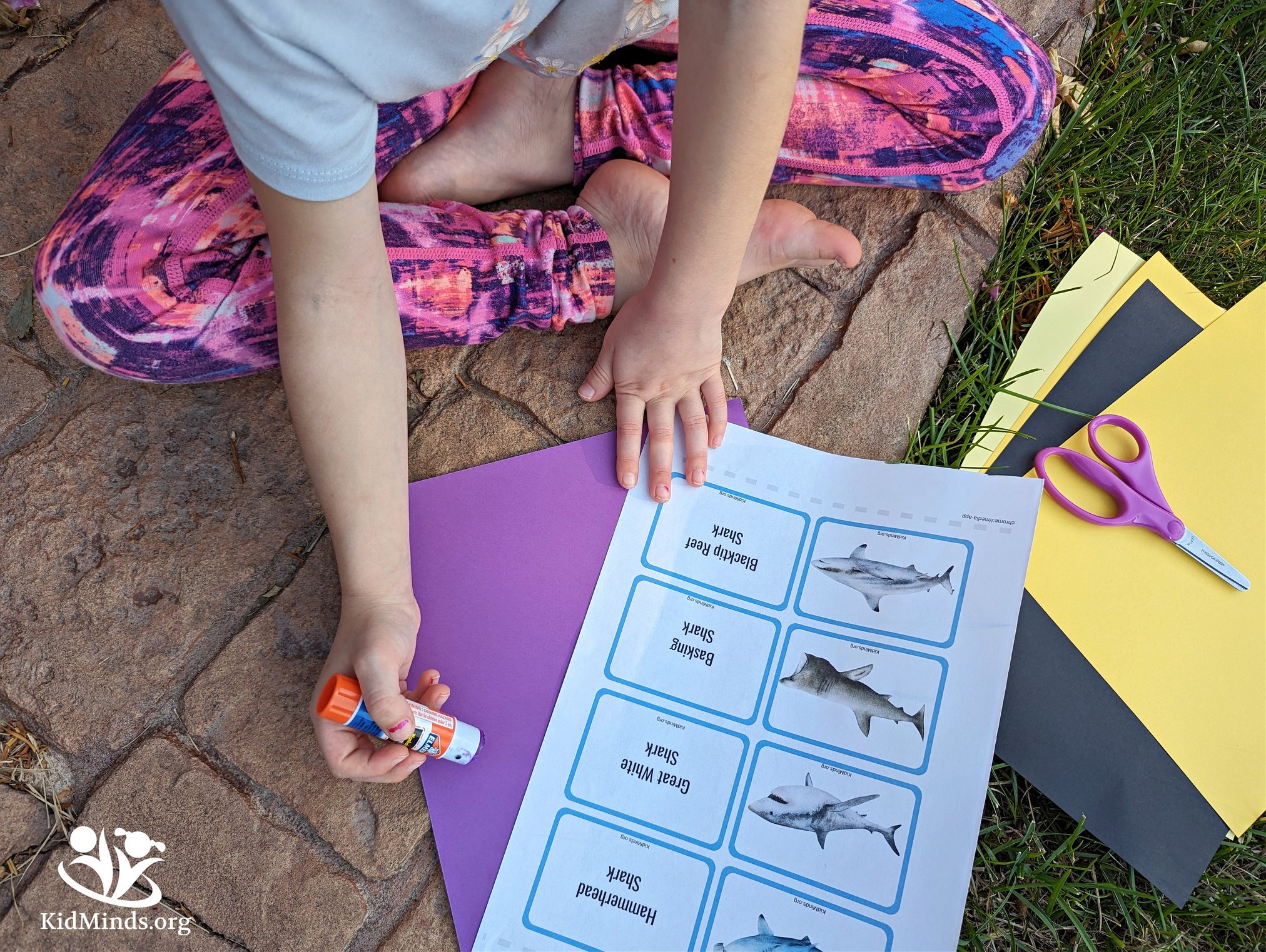 The Best Shark Names Memory Game (Free PDF) | KidMinds