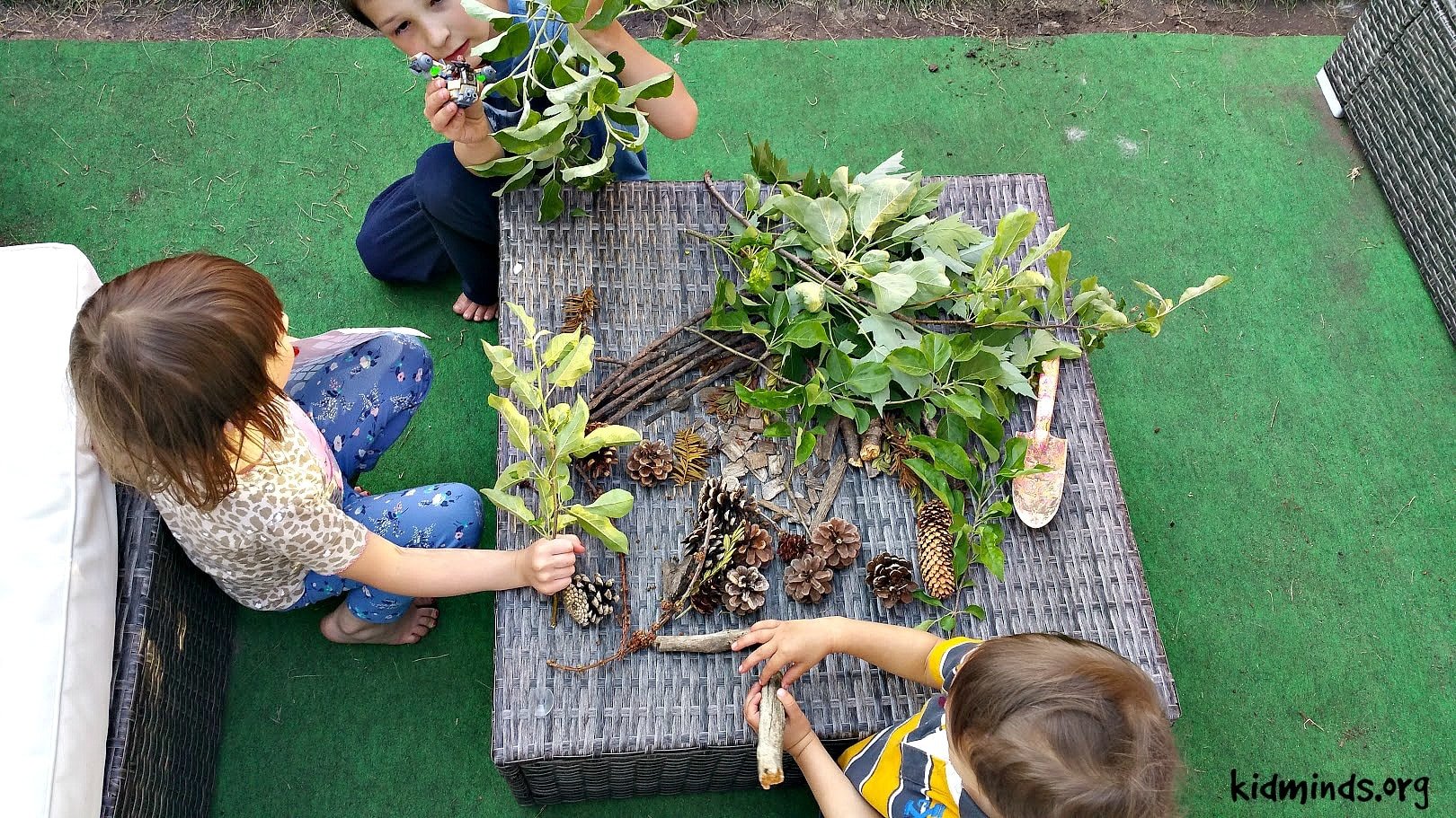 Teach Symmetry with Backyard Nature Collage | KidMinds