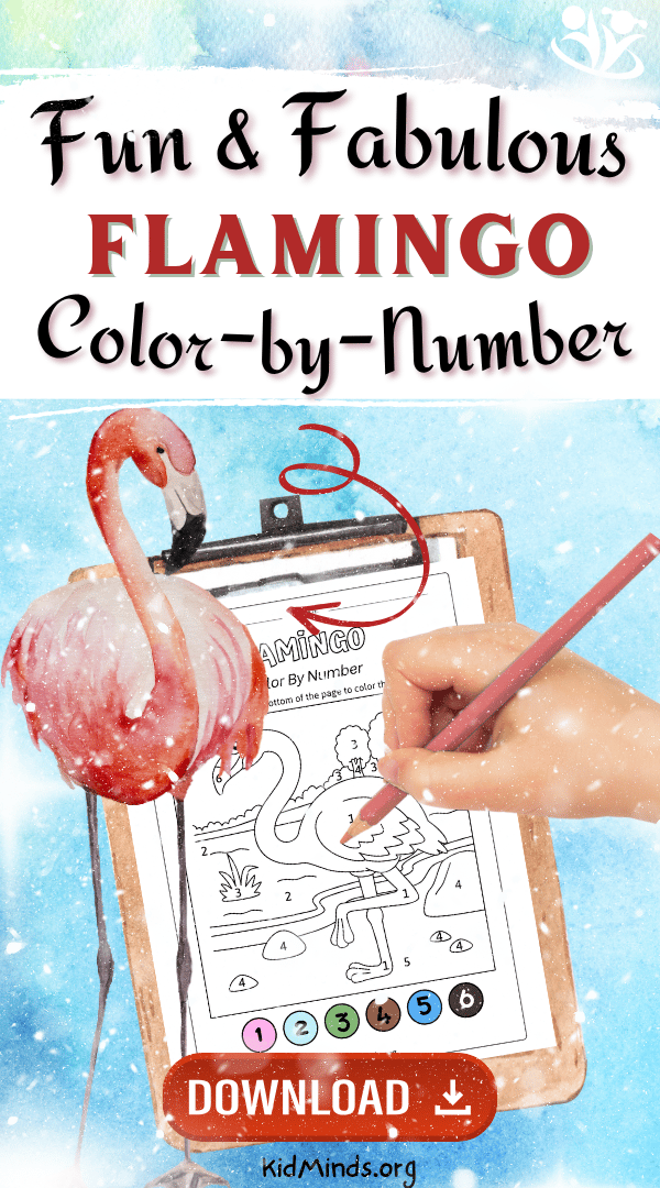The Best Flamingo Color-by-Number (Free PDF) | KidMinds