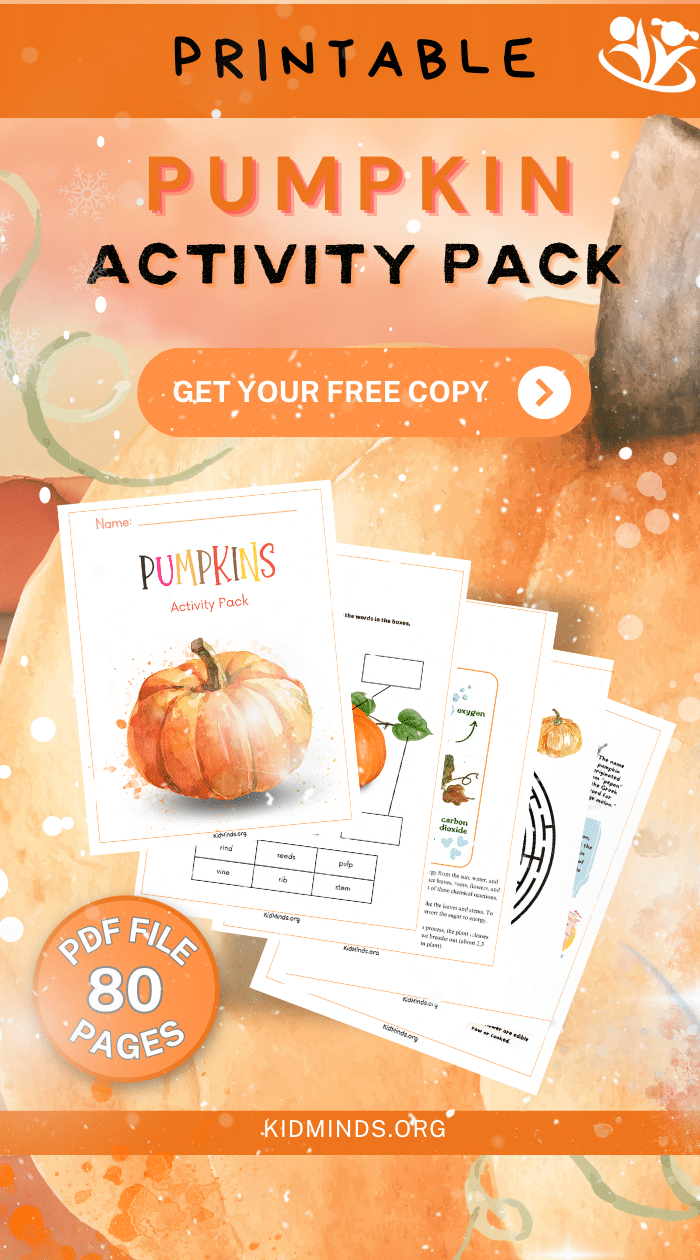 The Best Pumpkin Learning Pack (Free Printable) | KidMinds