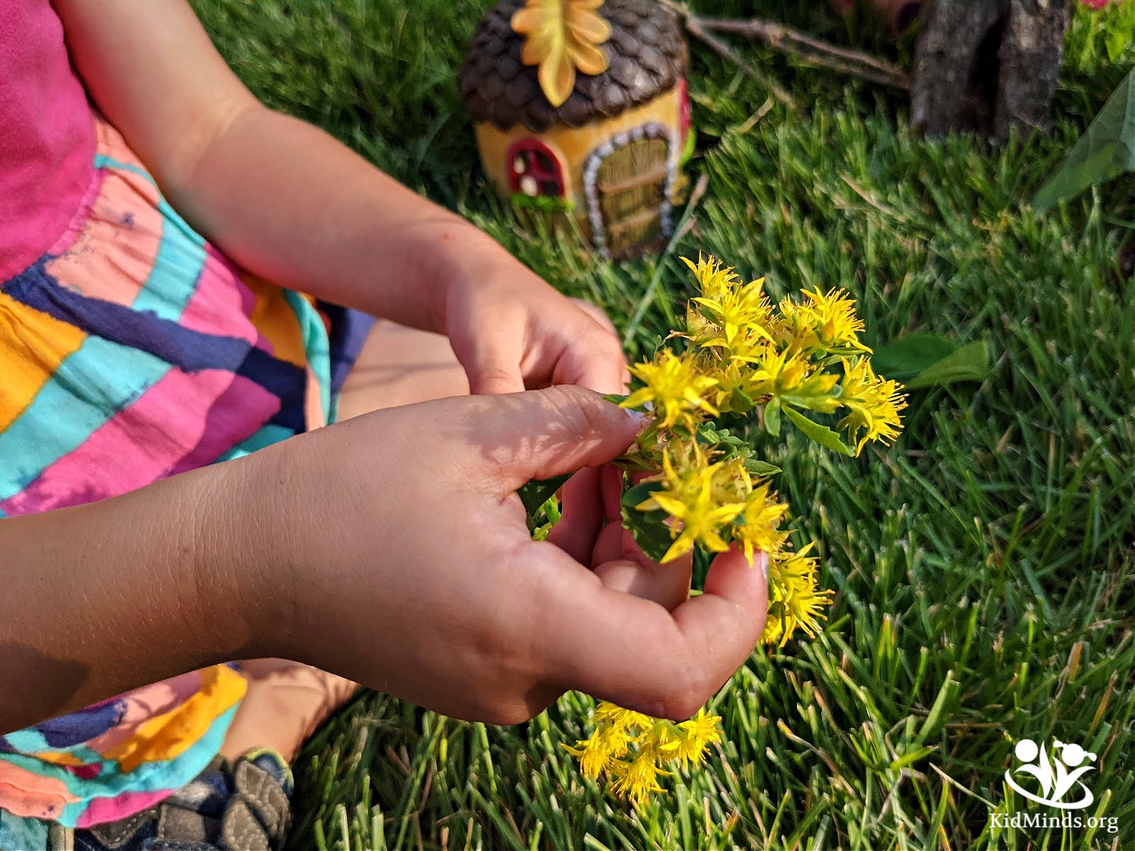 How to Make Fairy Garden For STEM Learning | KidMinds