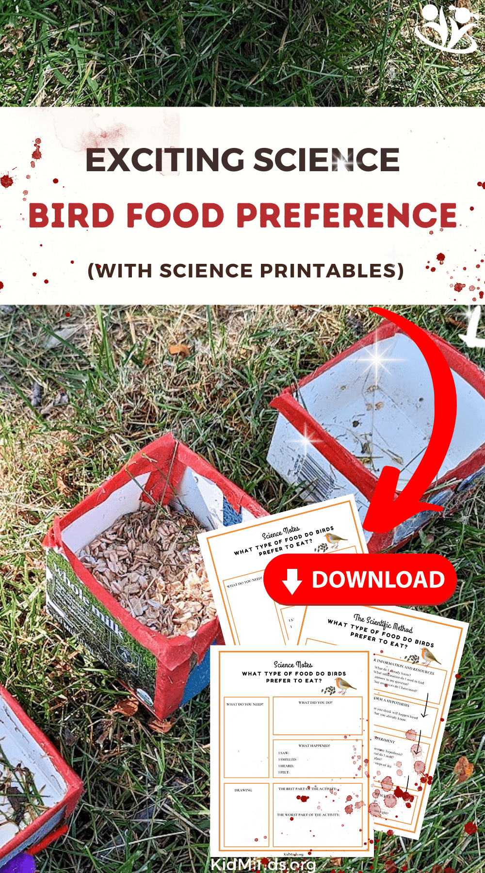 Exciting Bird Science: The Best Snacks for Birds | KidMinds