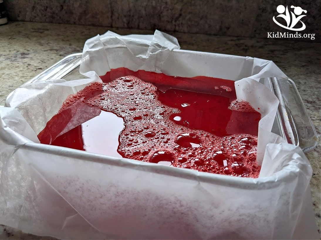 Simple Earthquake Science: Jello Plate Tectonics | KidMinds