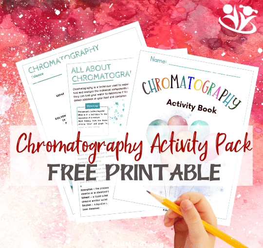 The Best Chromatography Activity Pack (Free) | KidMinds