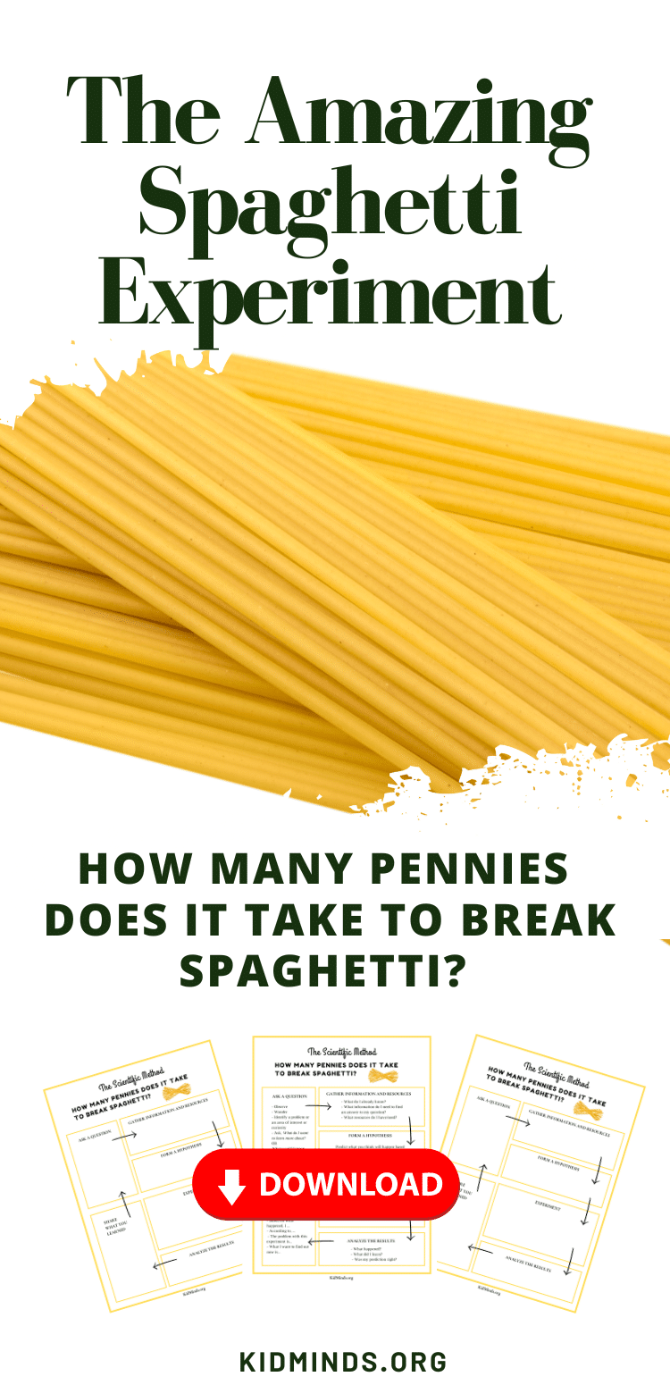 The Amazing Spaghetti Experiment: How Many Pennies Does it Take to ...