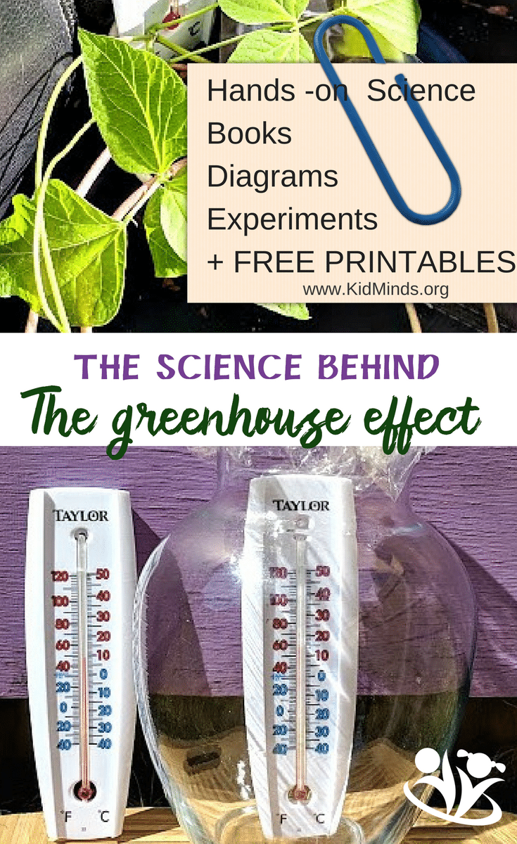 Greenhouse Effect Experiment