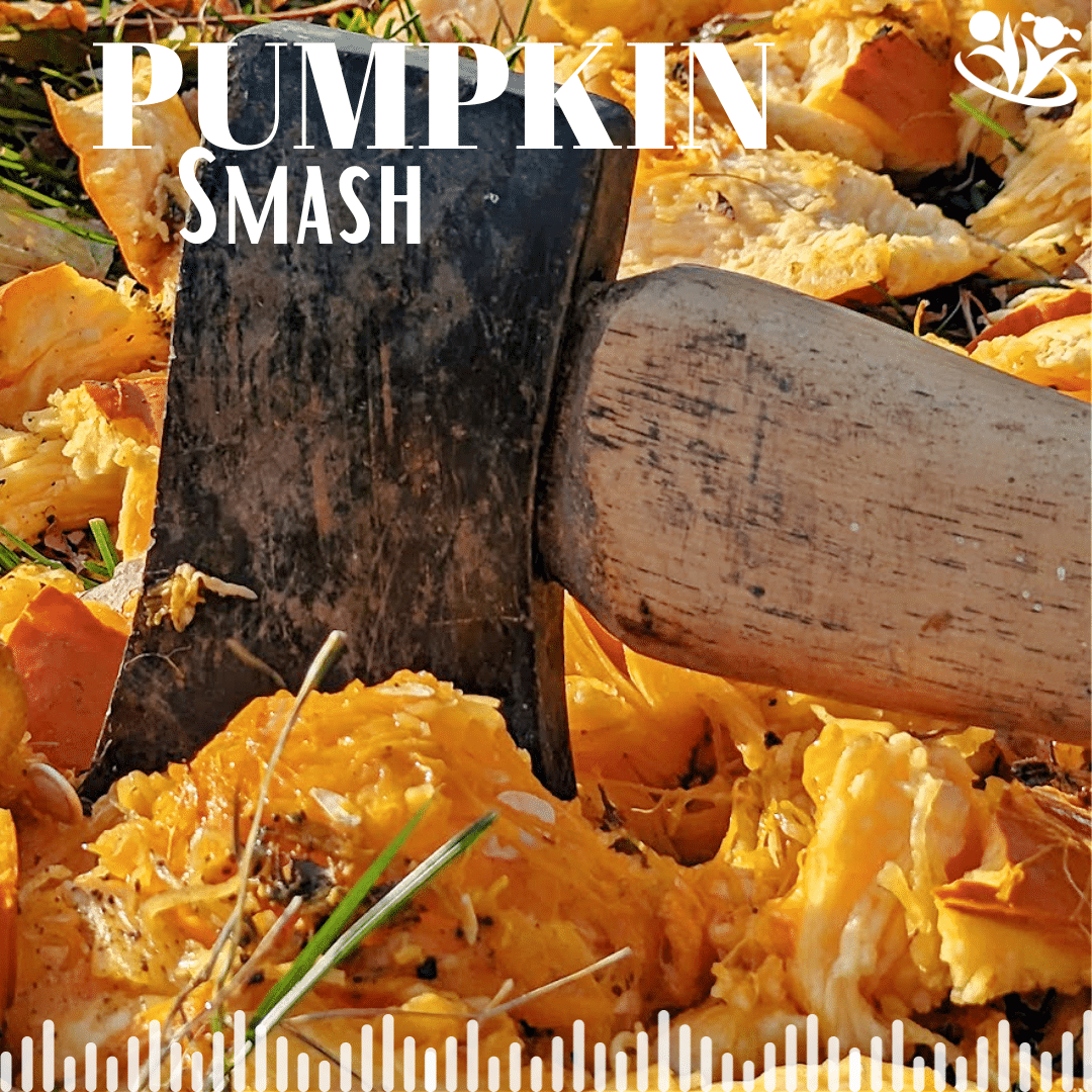 The Best and Most Exciting Thanksgiving Science | KidMinds