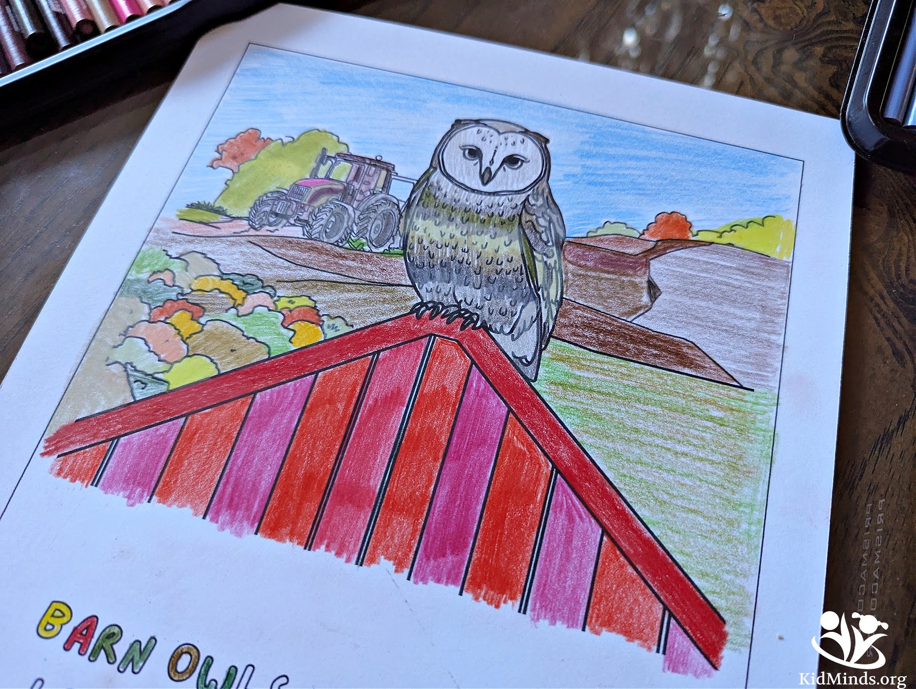 The Best Owl Coloring Pages for Kids (Free PDF) | KidMinds