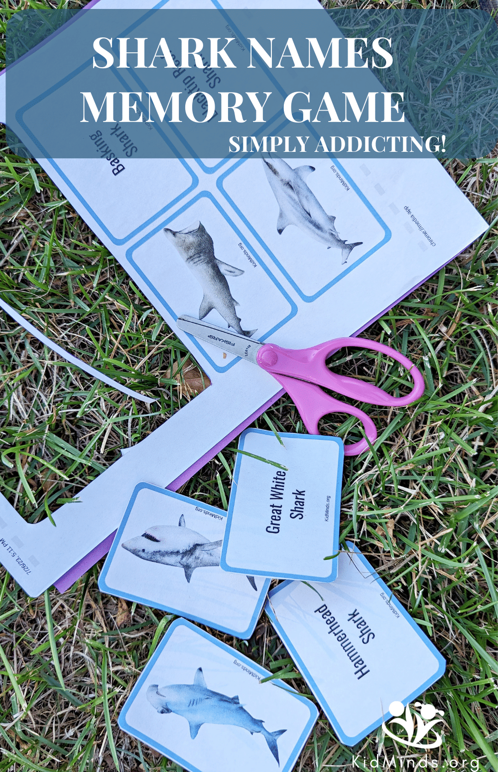 The Best Shark Names Memory Game (Free PDF) | KidMinds