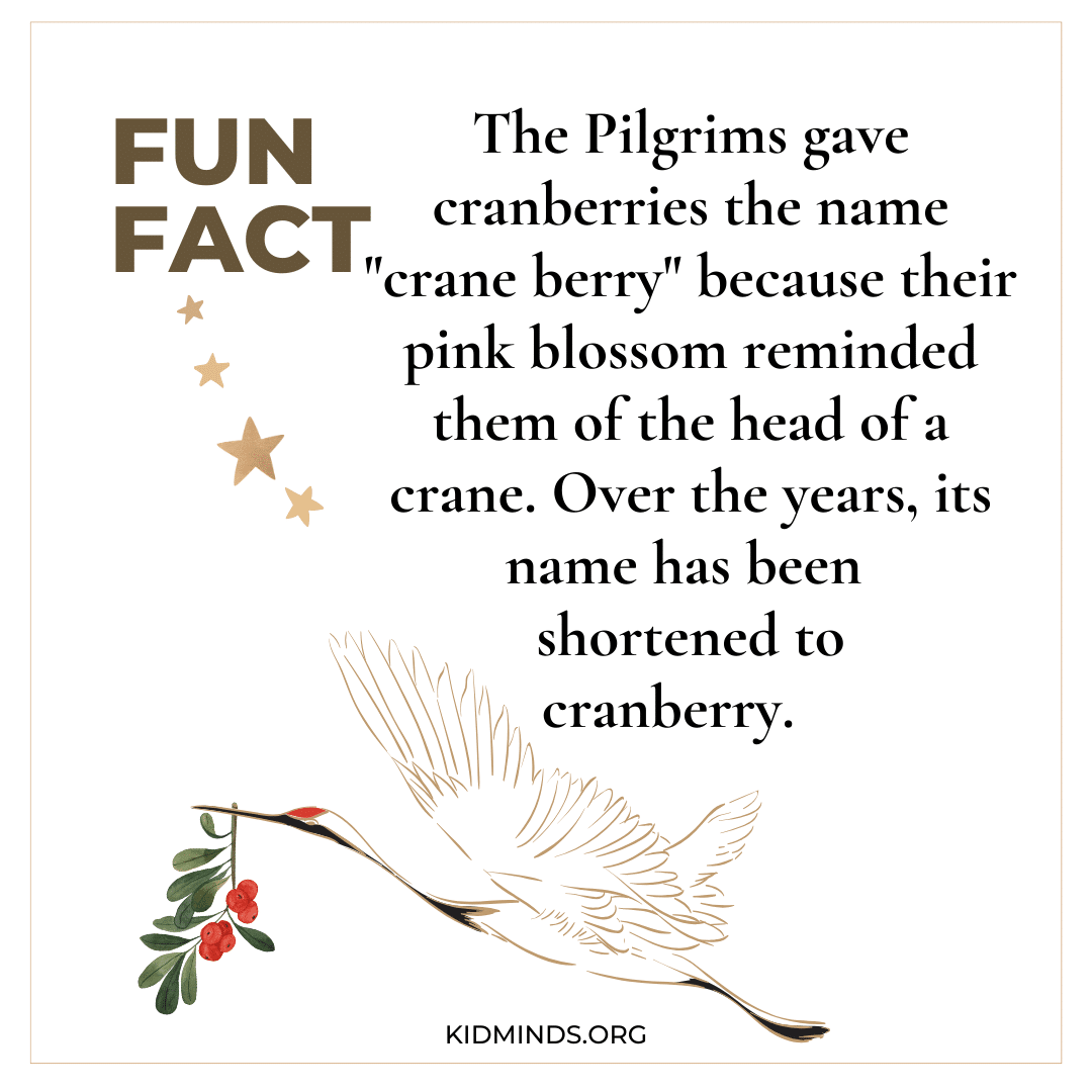 The Best Cranberry Jokes and Facts (Free PDF) | KidMinds