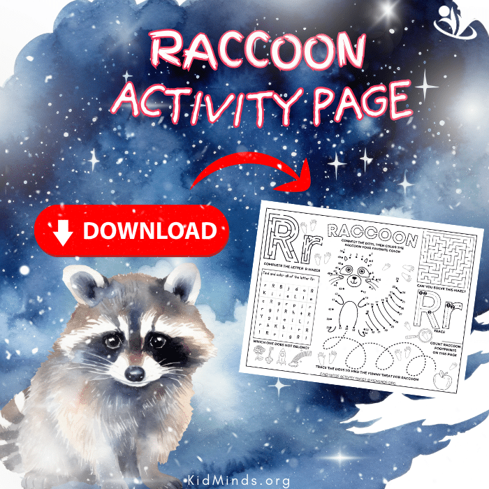 The Best Raccoon Activity Page (Free Printable) | KidMinds