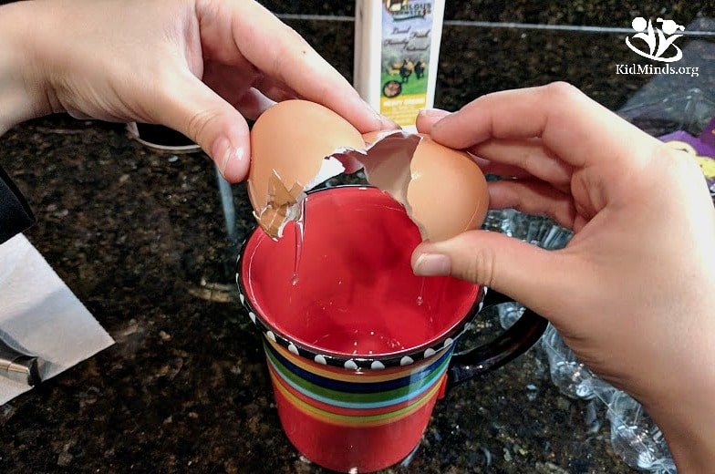 The Best Food Science for Kids: Amazing One-Minute Cake | KidMinds