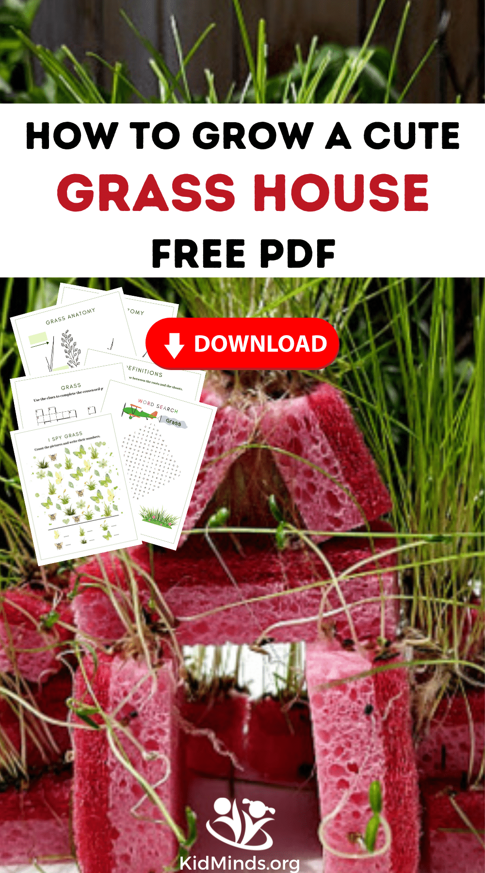 How to Grow the Best Grass House (Free PDF) | KidMinds