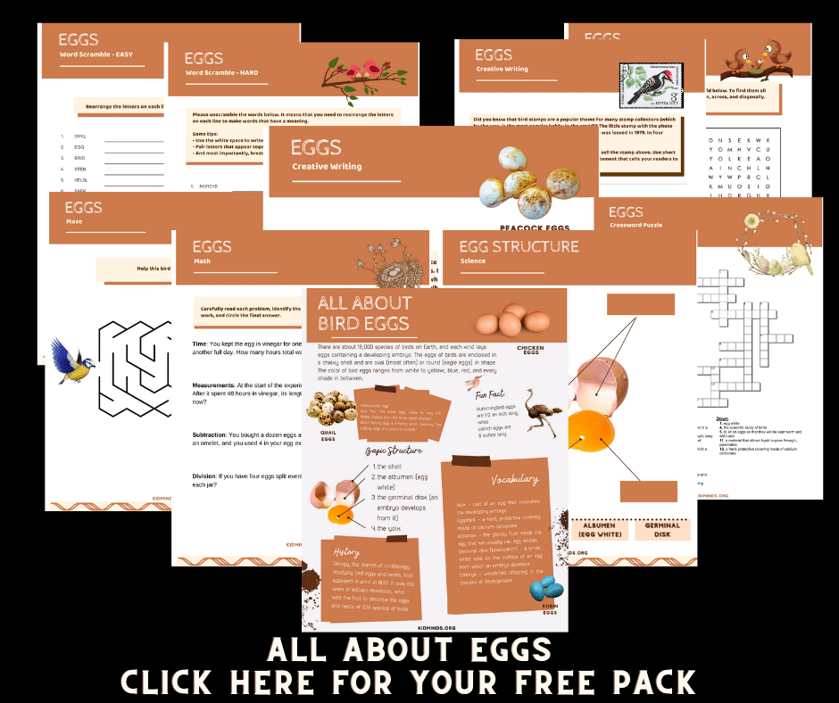 The Best Egg Science (With Lots of Free Printables) | KidMinds
