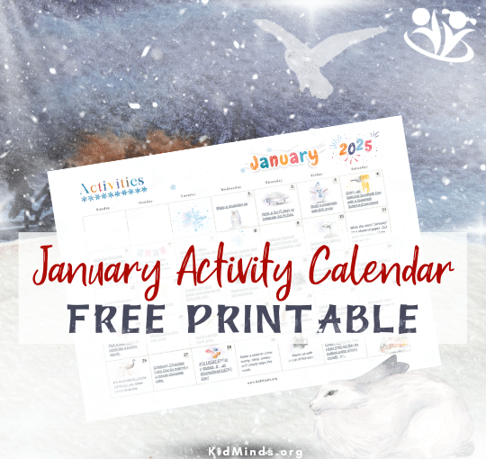 The Best January Activity Calendar (Free PDF) | KidMinds