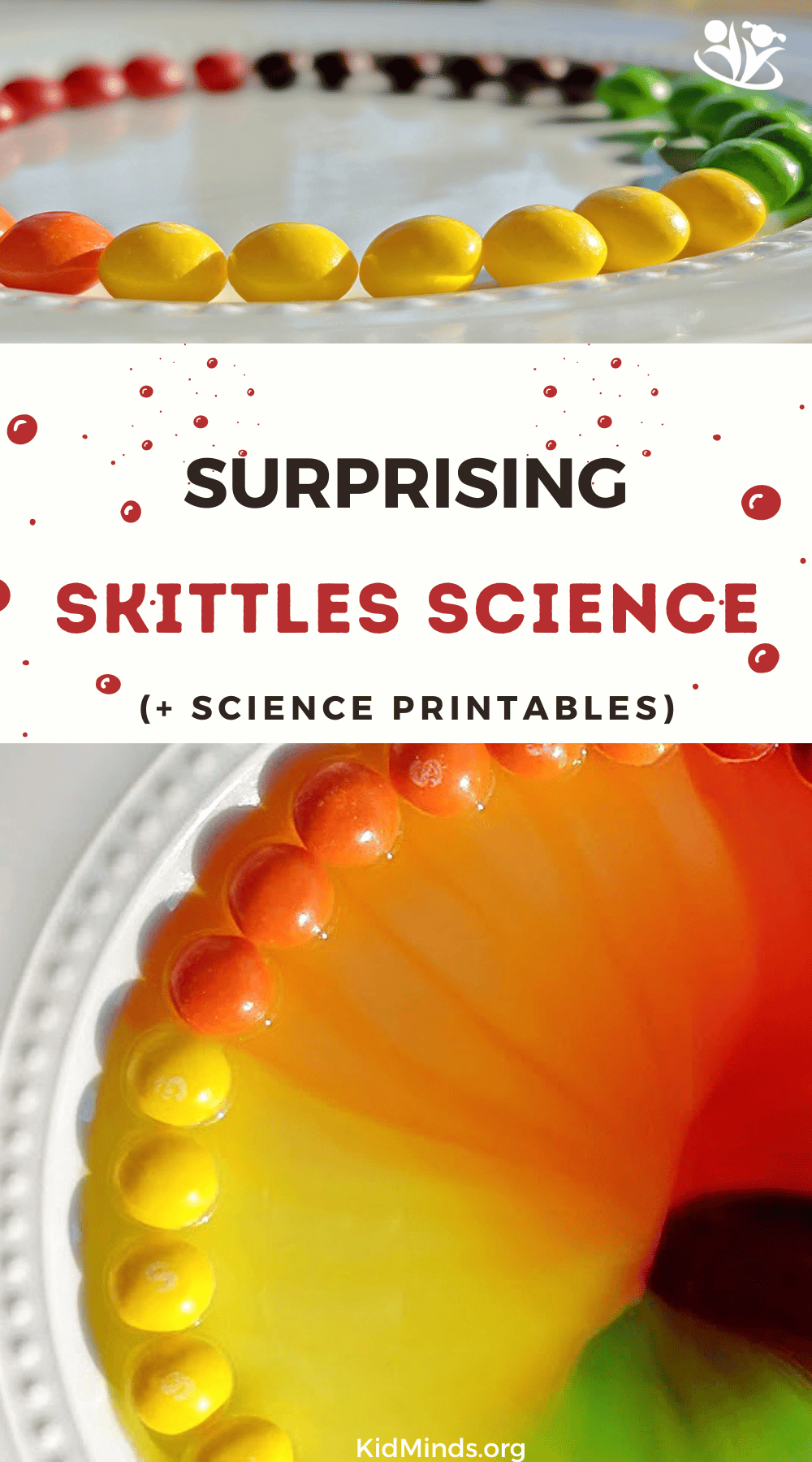 How to Make Skittles Science Experiment (Free PDF) | KidMinds