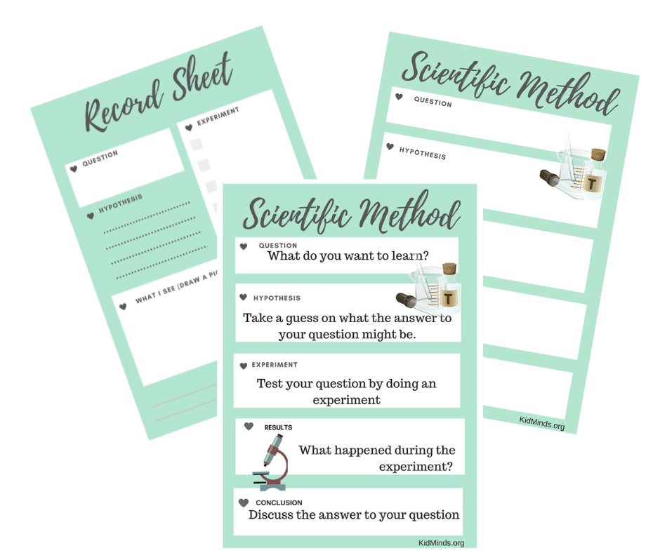 The Best Egg Science (With Lots of Free Printables) | KidMinds