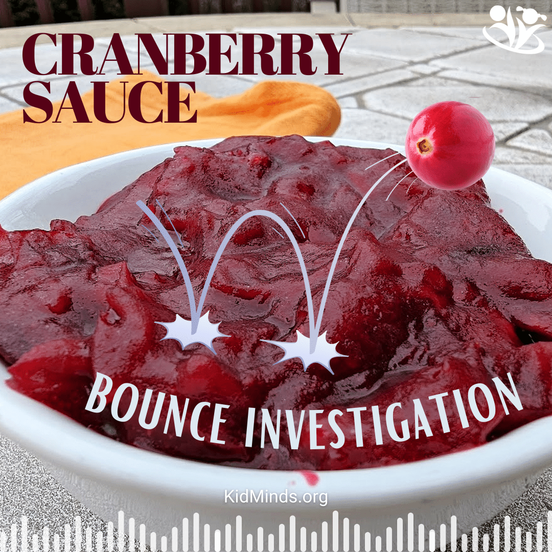 The Best and Most Exciting Thanksgiving Science | KidMinds