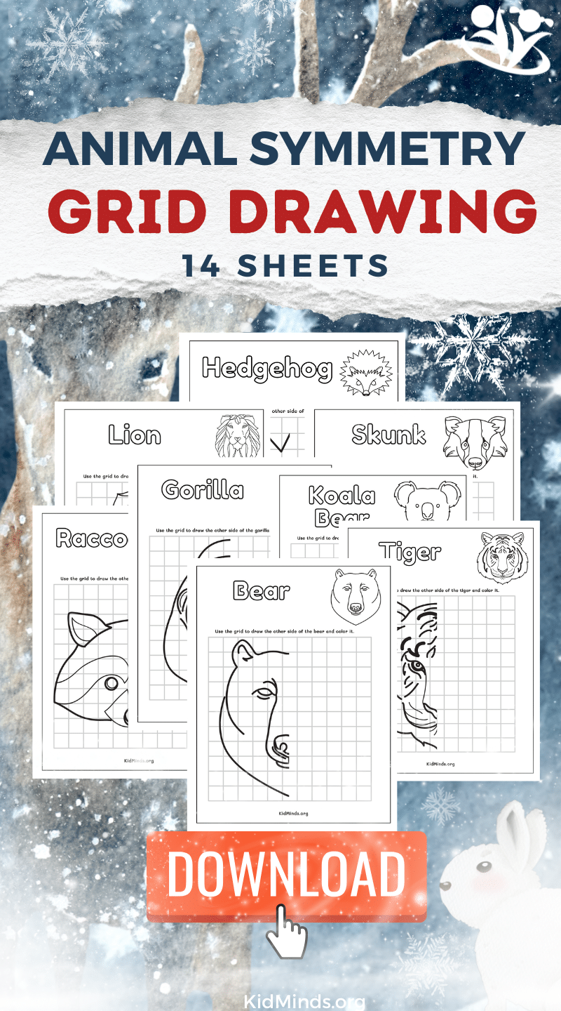 The Best Animal Symmetry Grid Drawing (Free PDF) | KidMinds