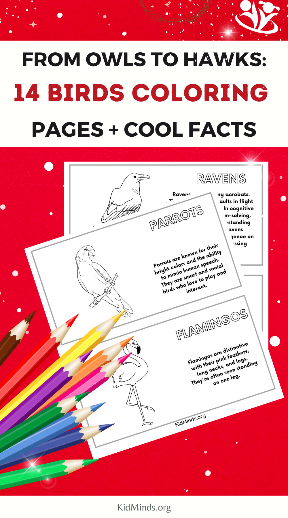 The Best Bird Facts and Coloring Pages (Free PDF) | KidMinds