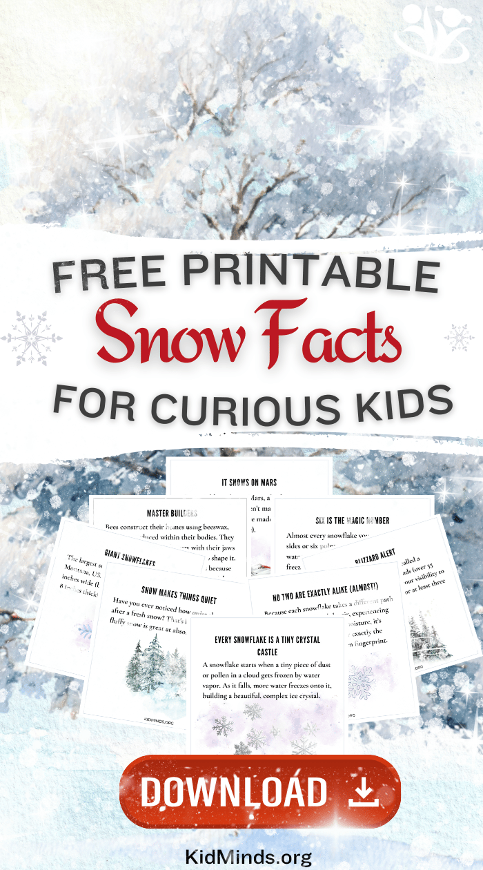 The Best Snow Facts for Kids (Free PDF) | KidMinds