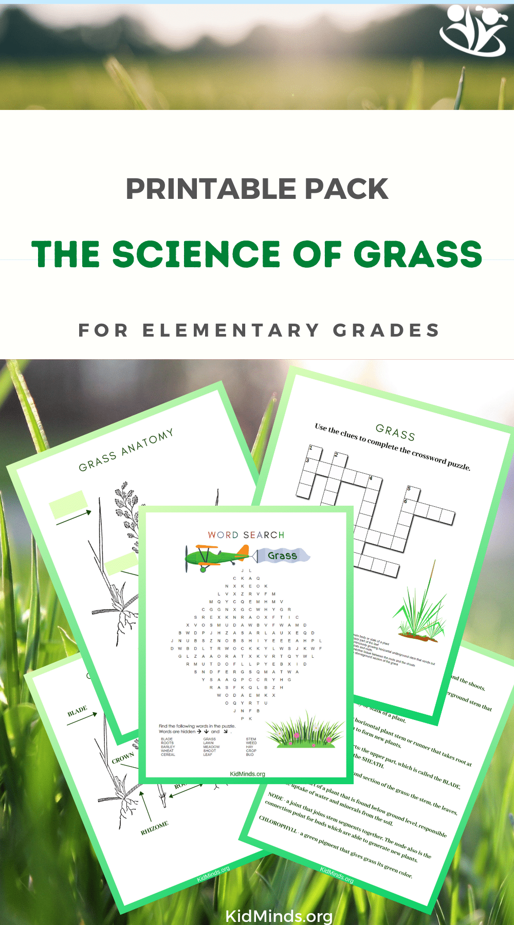 How to Grow an Awesome Plant Inside an Eggshell | KidMinds